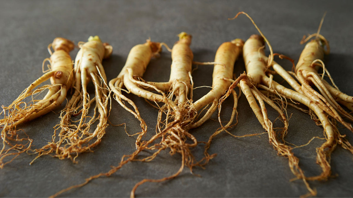 Unlocking the Potent Secrets of Korean Red Ginseng: A Journey into Wel ...